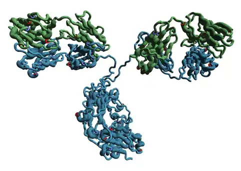 Anti-E-tag mAb-Magnetic Agarose (Clone: 21D11) | GlycoTech Corporation